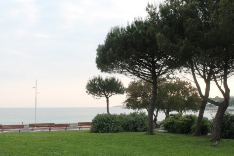 Gallery | Movable Assets