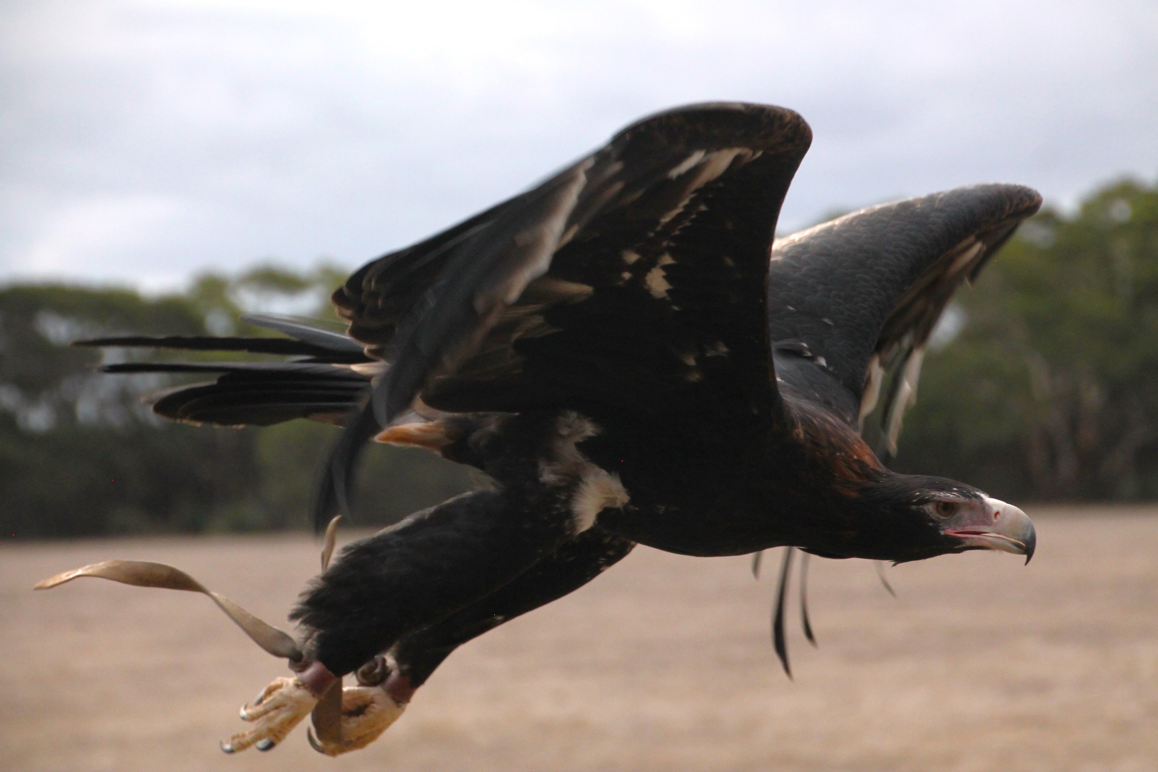 Movable Assets | Adventures in Wanderlust