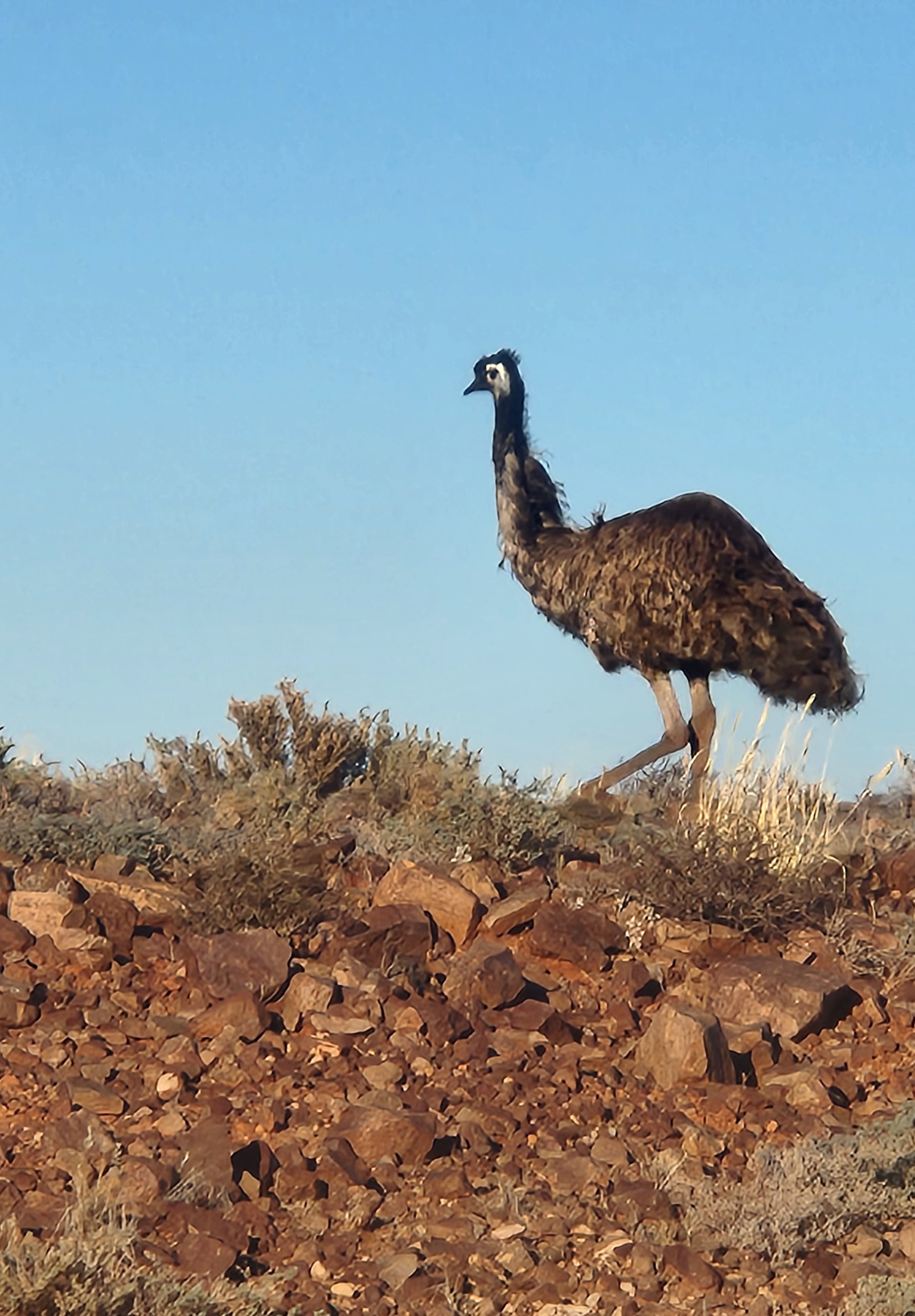 Movable Assets | Adventures in Wanderlust