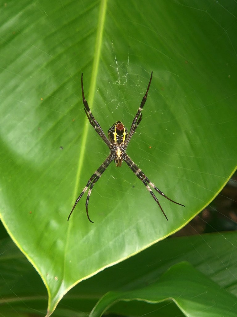 Movable Assets | Adventures in Wanderlust