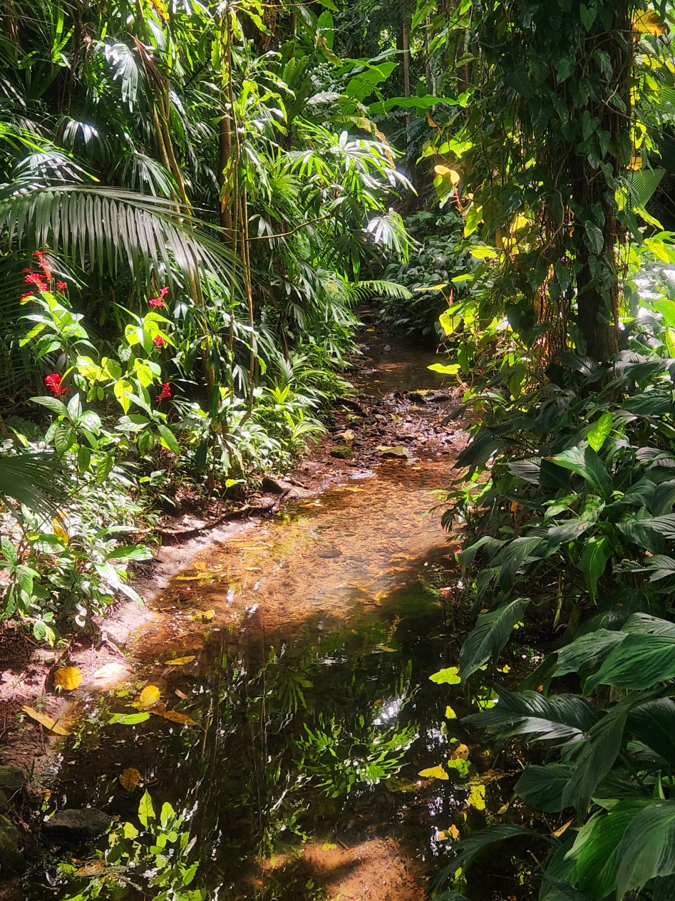 Movable Assets | Adventures in Wanderlust